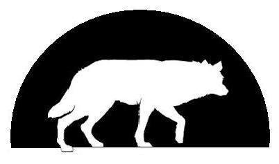 White Wolf, LLC – Mission-focused Business Consulting